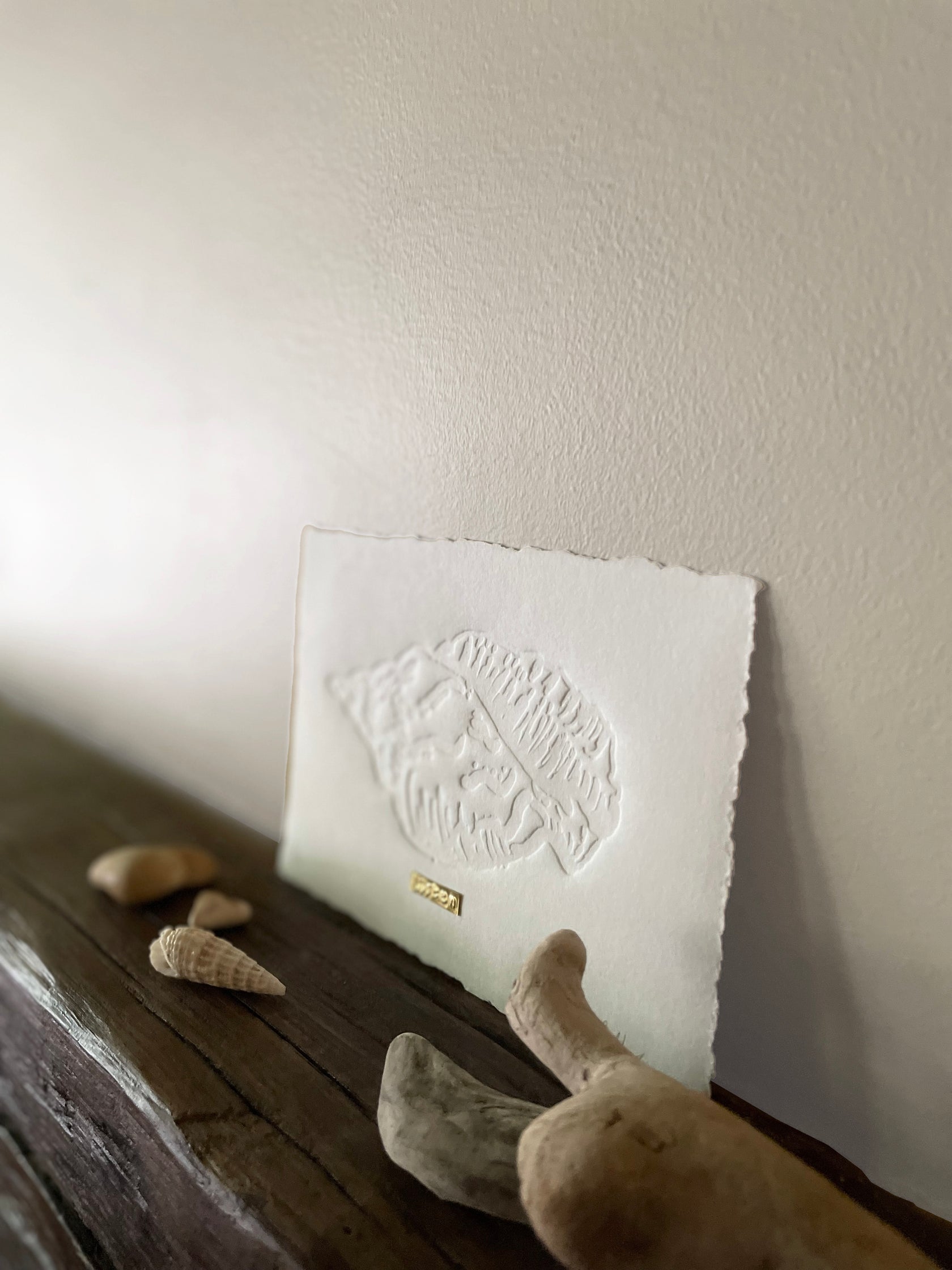 Conch Shell Hand Embossed Artwork | Megan Fatharly – Hilltop Home